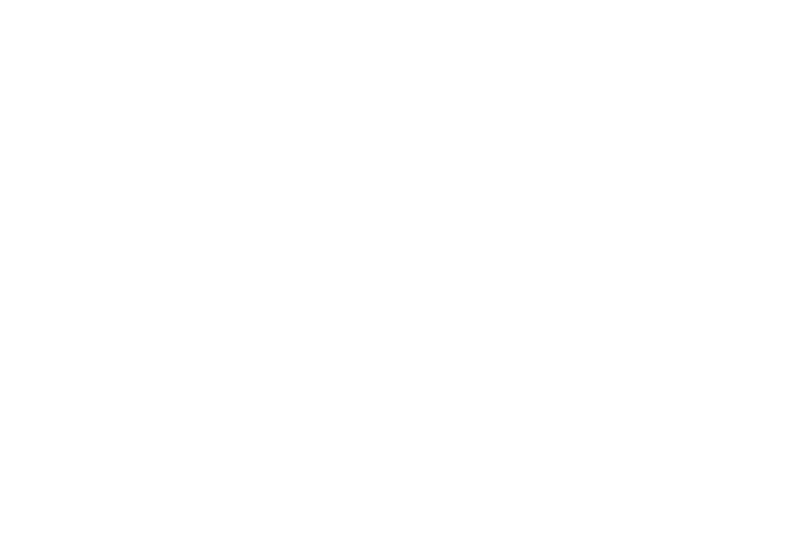 VELINETWORK SRL